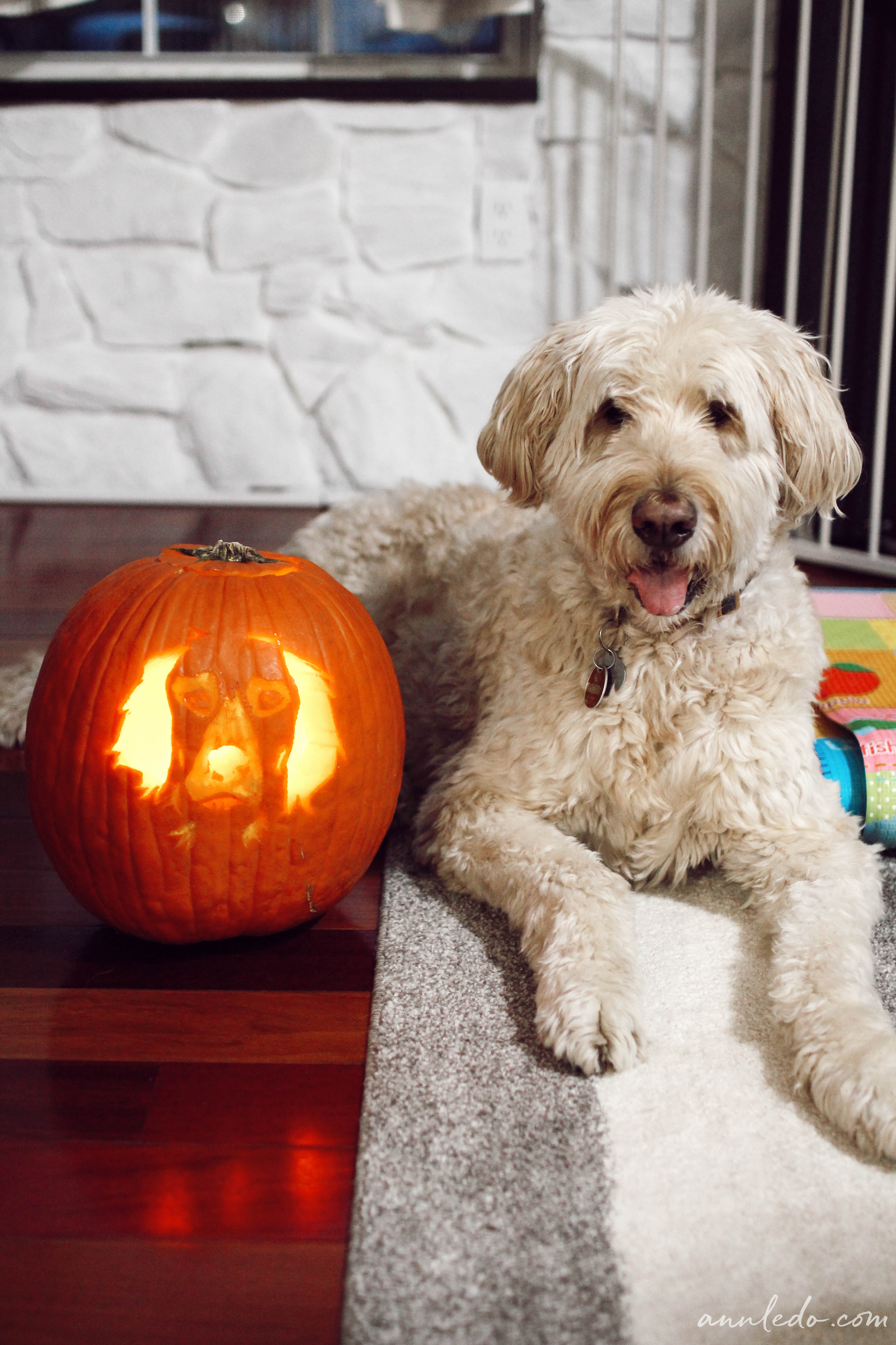 Pumpkin Carving // 24 Free Dog Breed Stencils – Ann Le Do