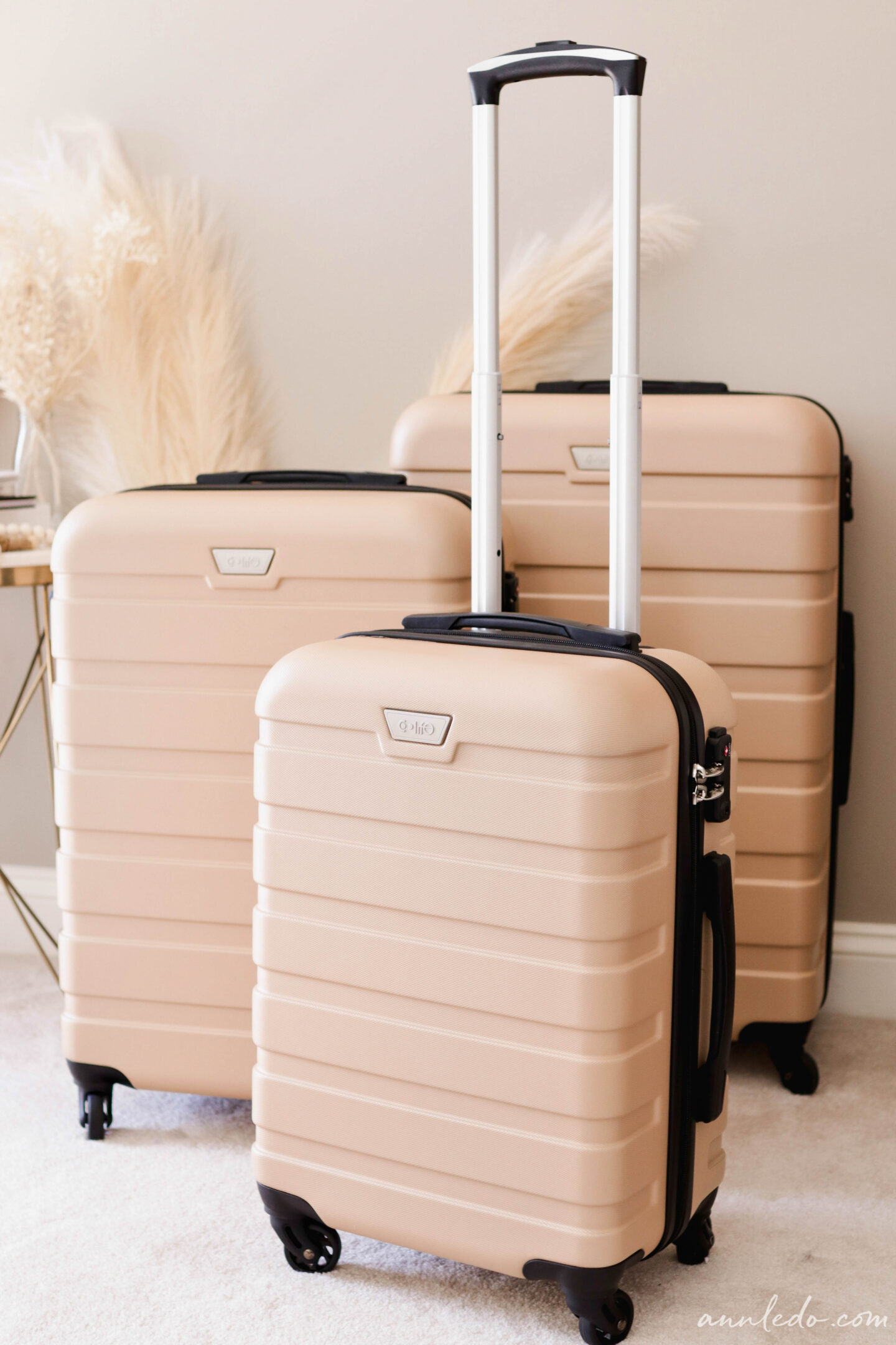 Travel Essentials // Modern Neutrals – Ann Le Do